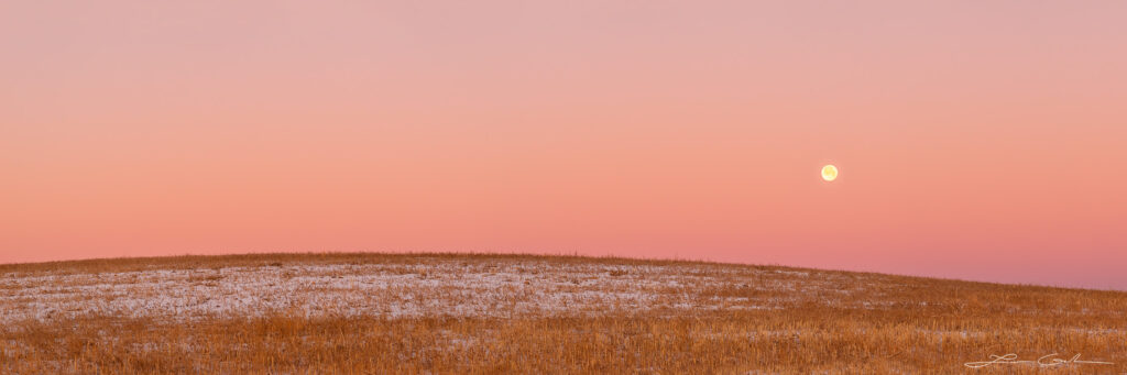 Minimalist Nature Photography | Gintchin Fine Art