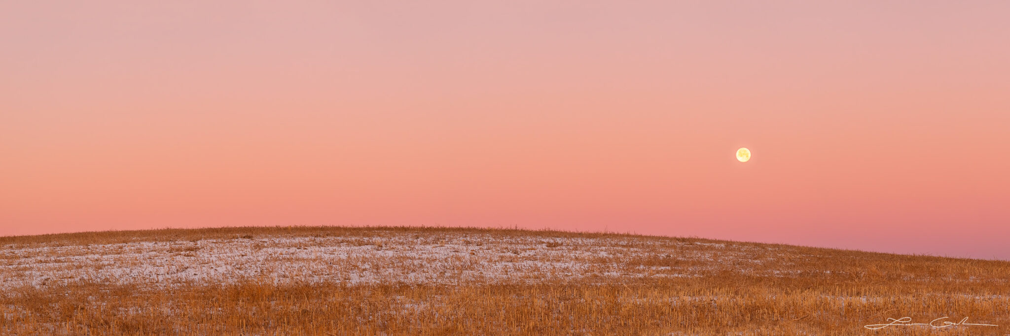 Minimalist Nature Photography | Gintchin Fine Art